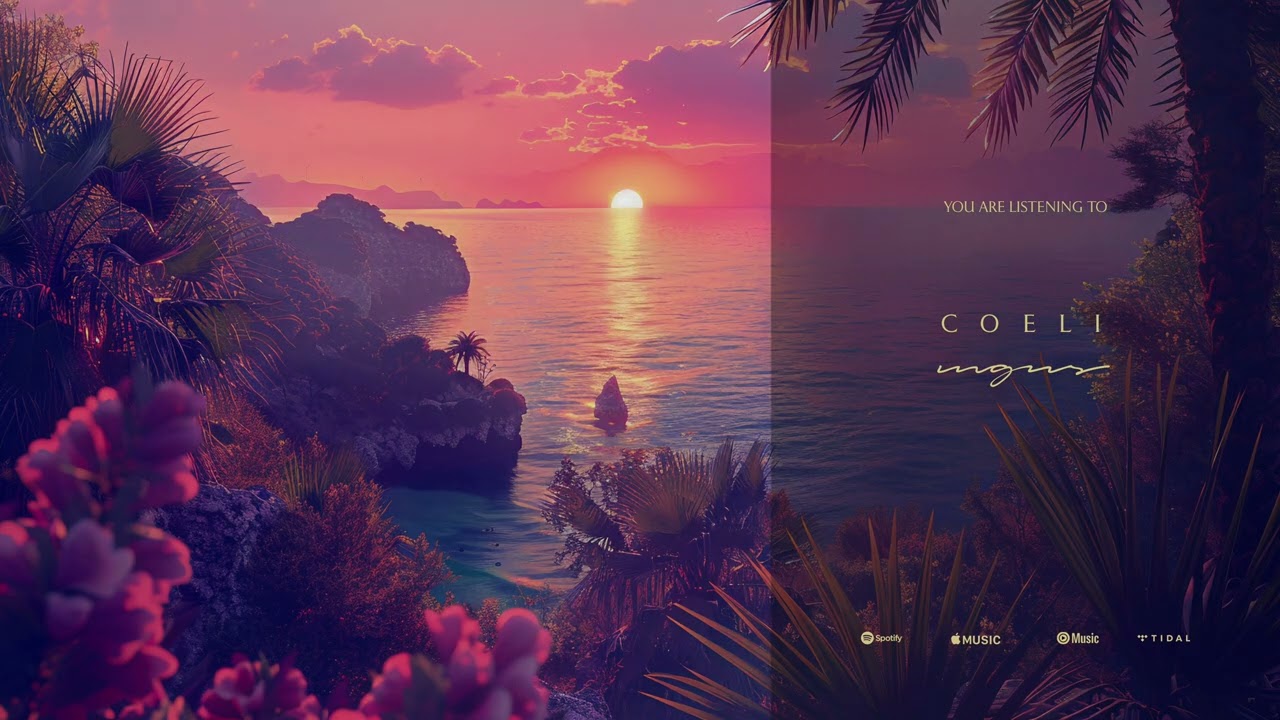 [Tropical Chill] mgns - ‘Coeli’ (2023) - Downtempo-Dojo