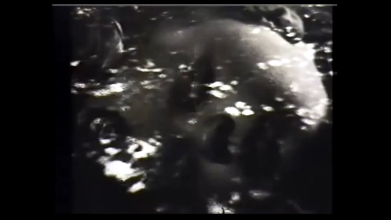 Aphex Twin - th1 (set to edited Landscape for Manon by Peter Hutton (1987)) - Downtempo-Dojo